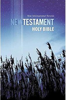 NIV Bibles (New International Version) – Biblestore.com