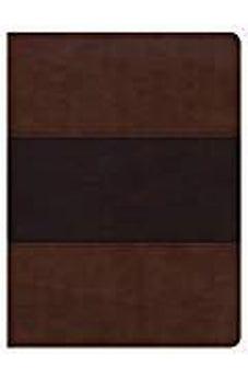 CSB Apologetics Study Bible, Mahogany LeatherTouch 978143 ...